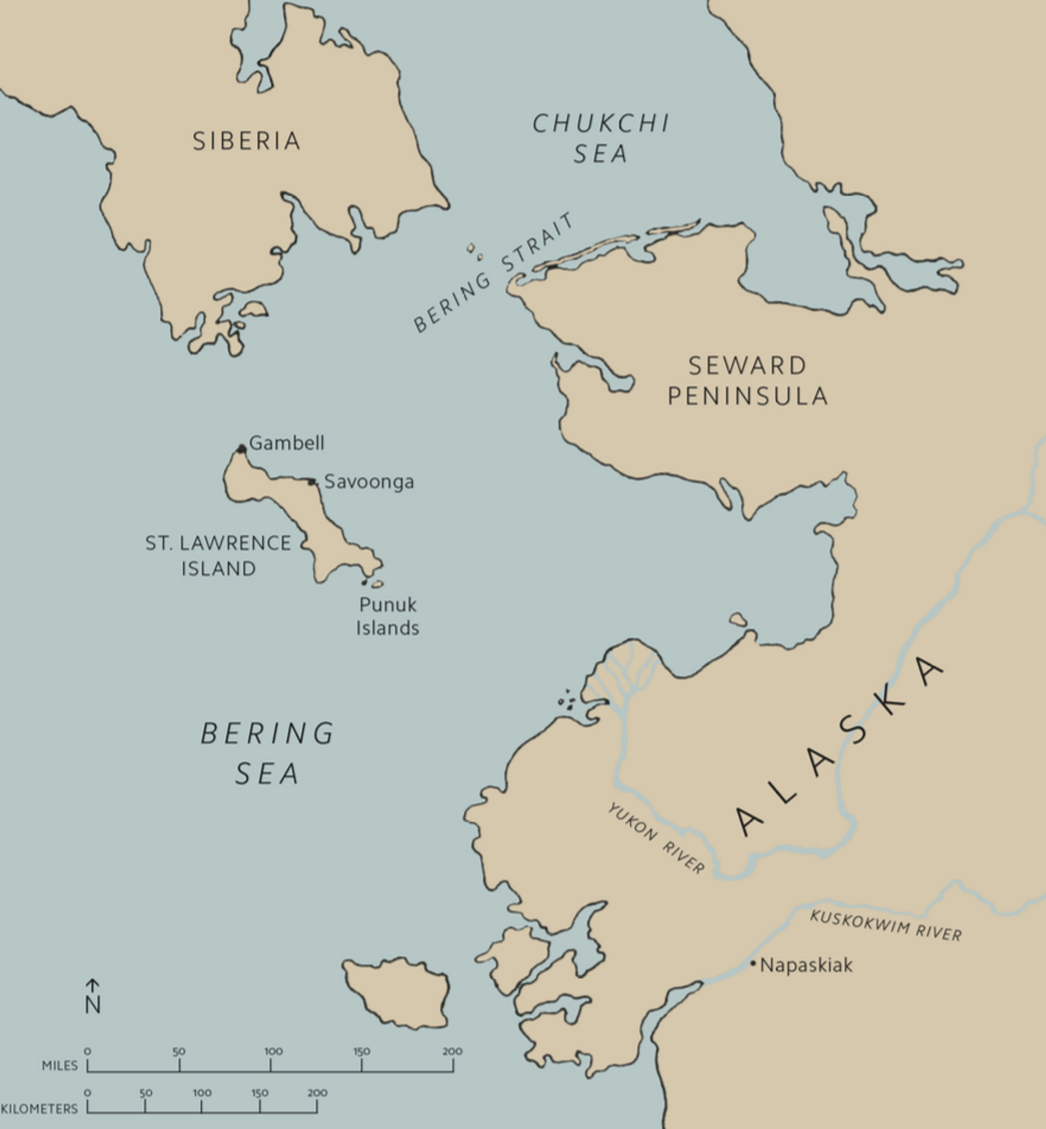 Yupik - The Menil Collection