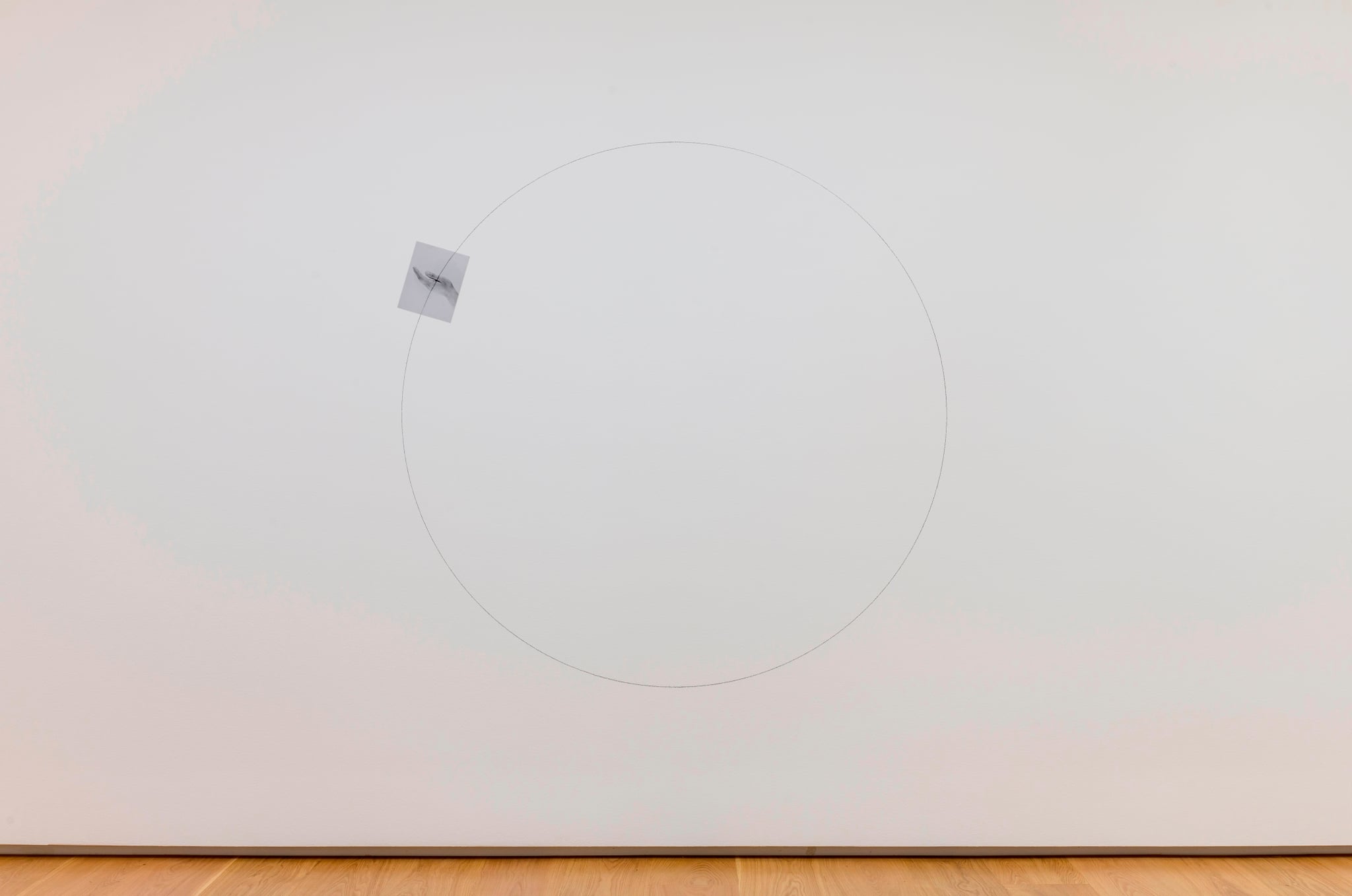 Artist Talk: Liliana Porter - The Menil Collection