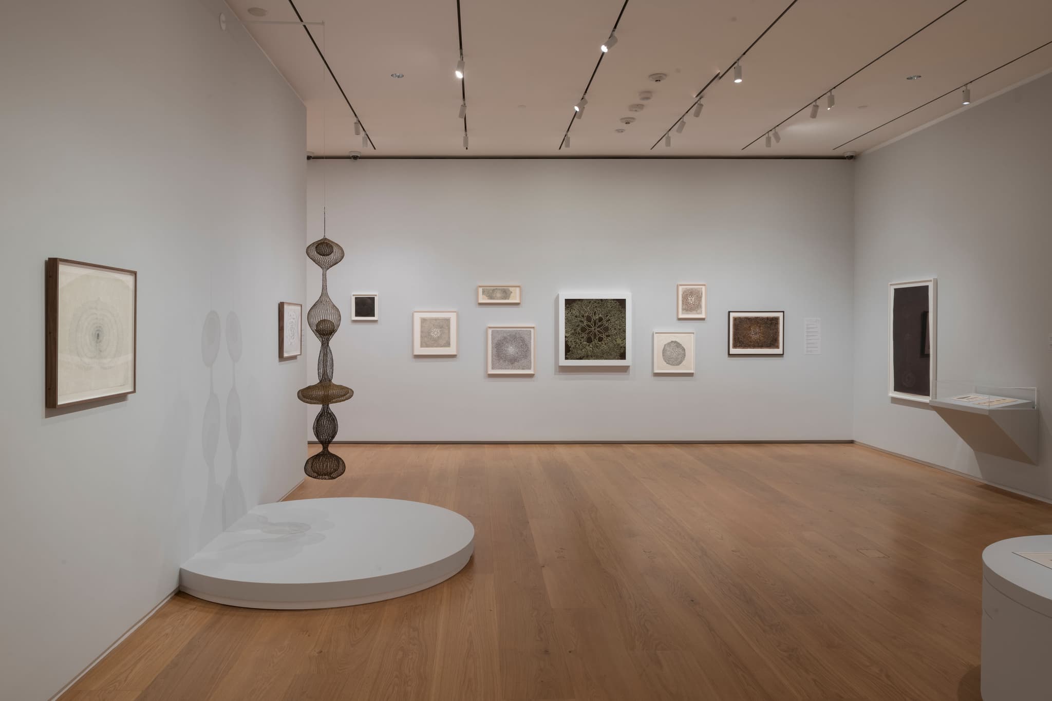 Ruth Asawa Through Line - The Menil Collection