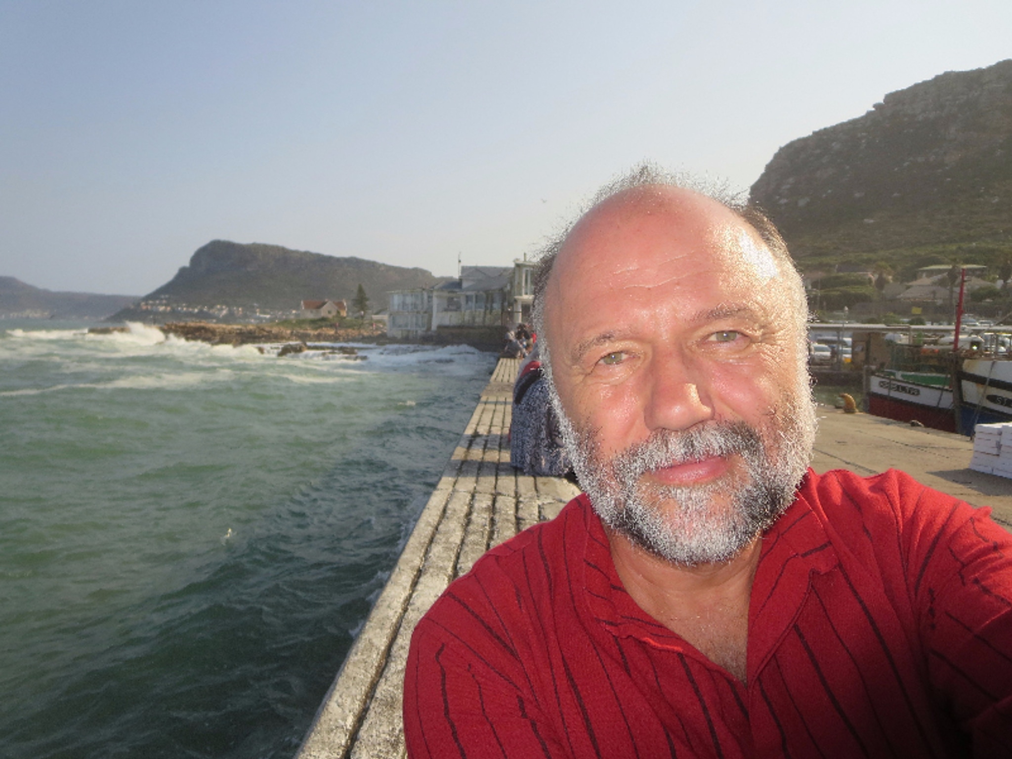 Book Reading: Andrey Kurkov, “Grey Bees” - The Menil Collection